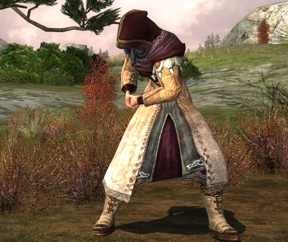 Rugged adventure | Cosmetic Lotro