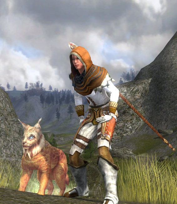 Blending in | Cosmetic Lotro