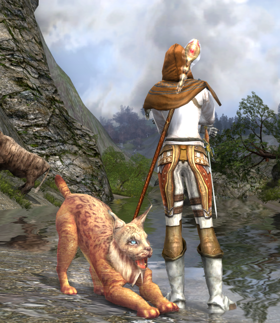 Blending in | Cosmetic Lotro