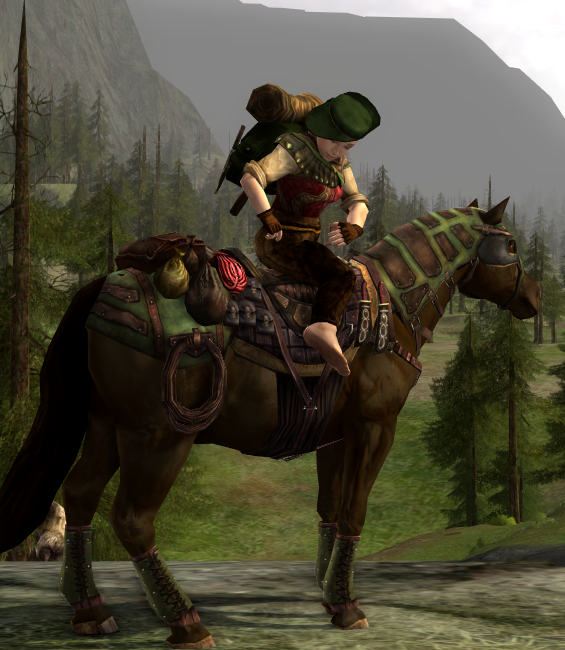 Tools of the trade | Cosmetic Lotro
