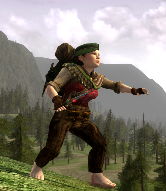 Tools of the trade | Cosmetic Lotro