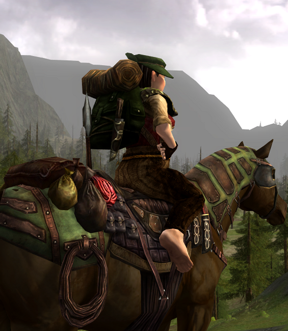Tools of the trade | Cosmetic Lotro