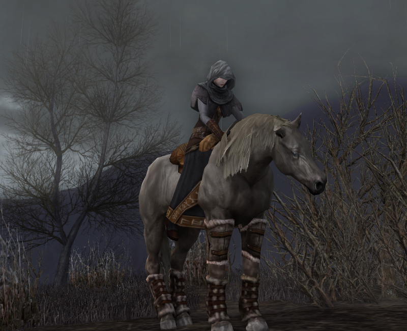 Shades of grey | Cosmetic Lotro