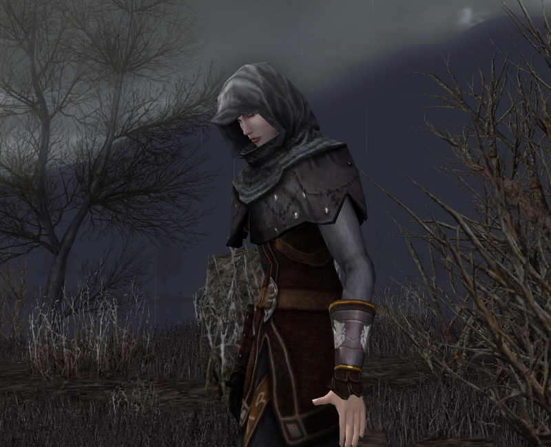 Shades of grey | Cosmetic Lotro