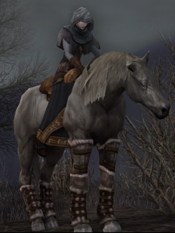 Shades of grey | Cosmetic Lotro
