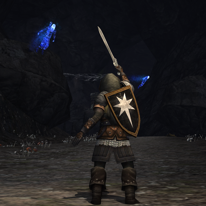 The Passing of the Grey Company | Cosmetic Lotro
