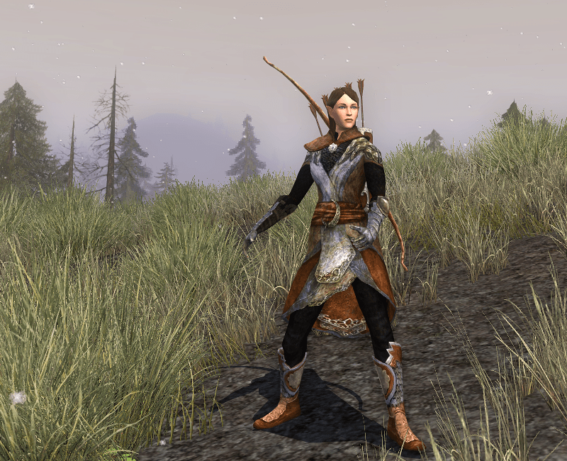 Hunting for vintage | Cosmetic Lotro