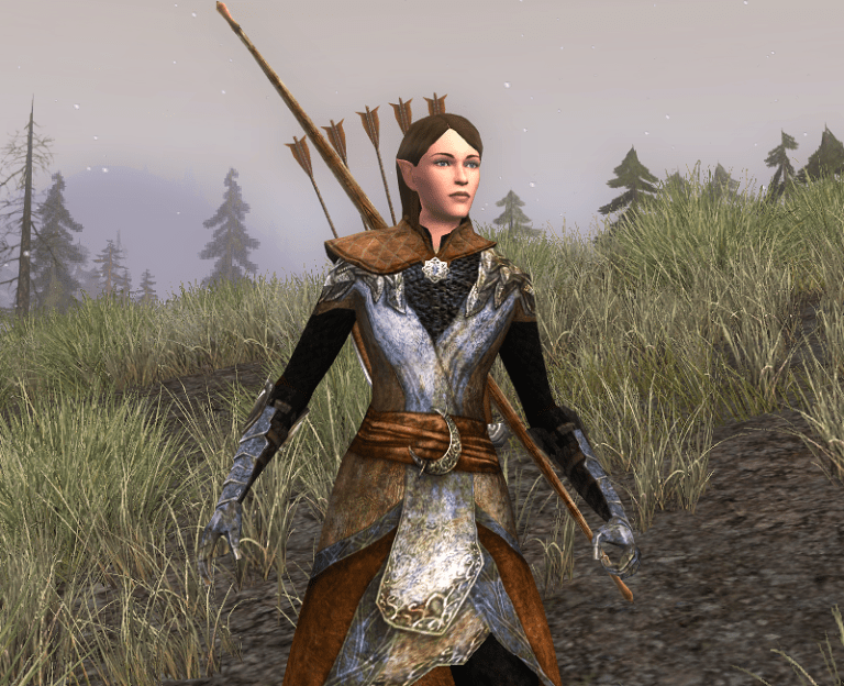 Hunting for vintage | Cosmetic Lotro