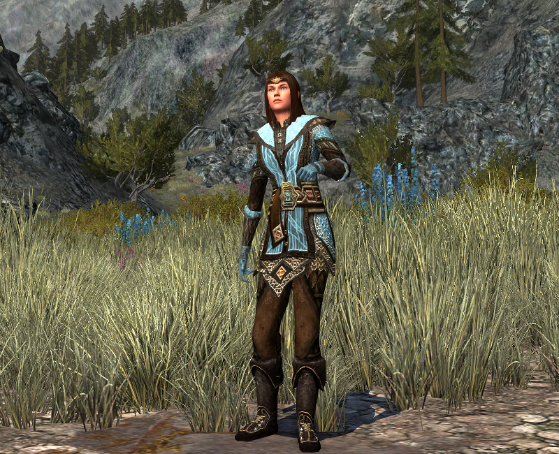 Into the mountains | Cosmetic Lotro