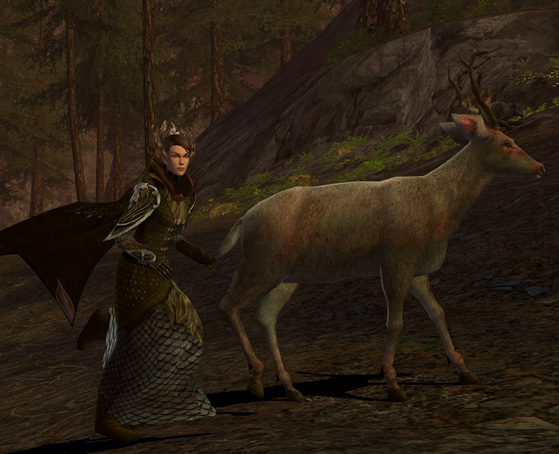 Woodland elf | Cosmetic Lotro