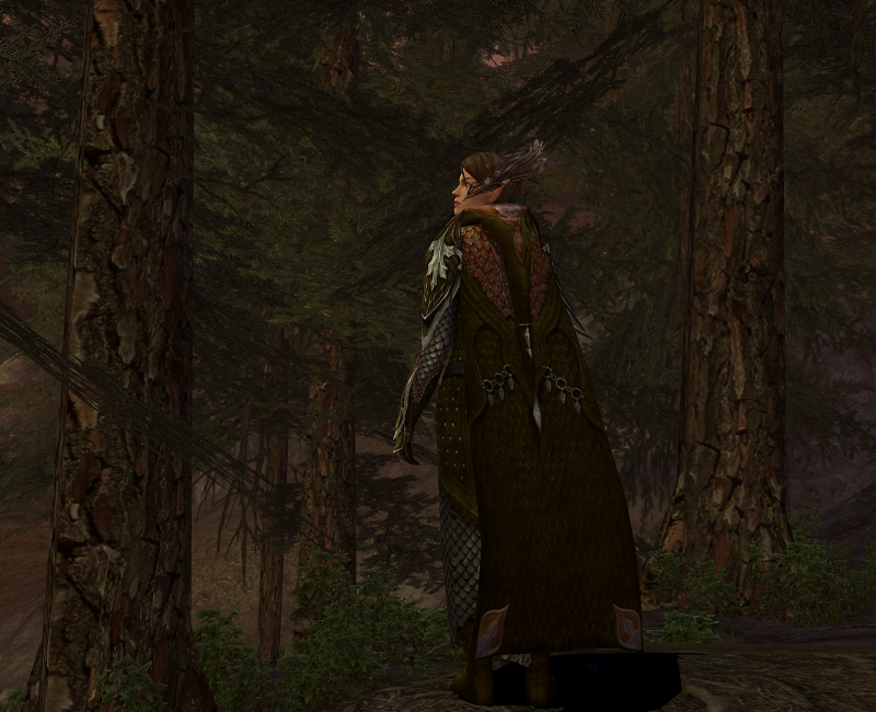 Woodland elf | Cosmetic Lotro