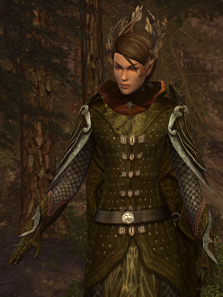 Woodland elf | Cosmetic Lotro