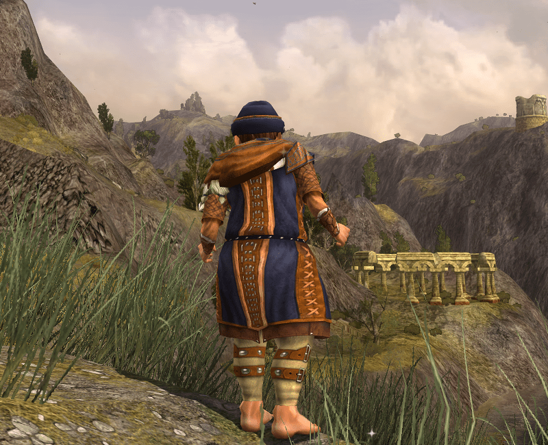 Smart | Cosmetic Lotro