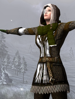 Winter wear | Cosmetic Lotro