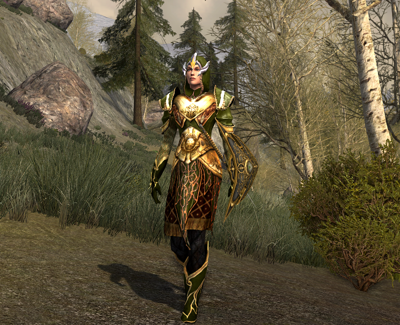 Galadhrim Warden | Cosmetic Lotro