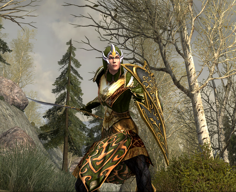 Galadhrim Warden | Cosmetic Lotro
