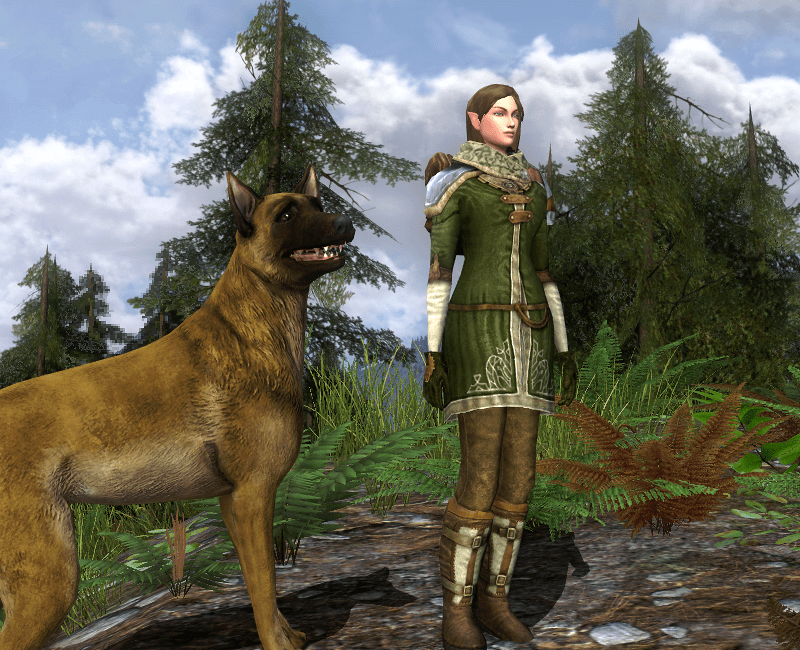 Travel companion | Cosmetic Lotro