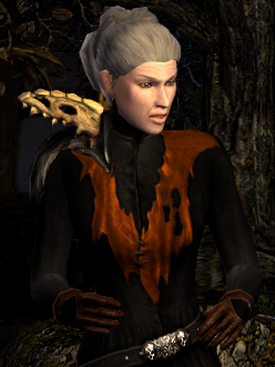 Cosmetic Lotro | Lord of the Rings online outfits and cosmetics.