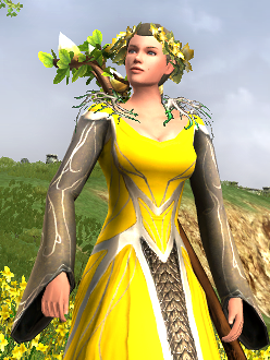 Cosmetic Lotro | Lord of the Rings online outfits and cosmetics.