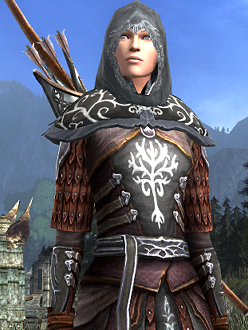 Cosmetic Lotro | Lord of the Rings online outfits and cosmetics.